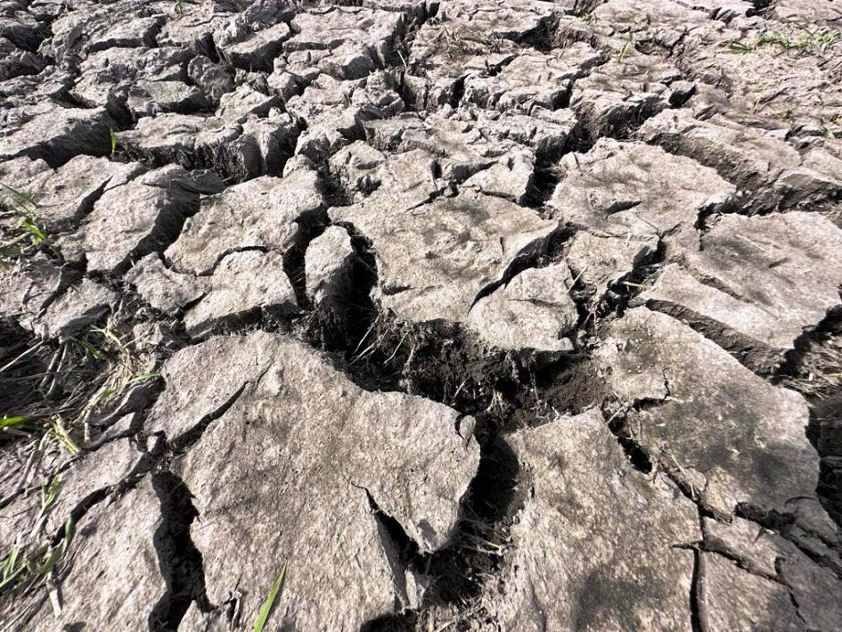Medidas aprobadas por el MGAP y otros organismos frente al déficit ...